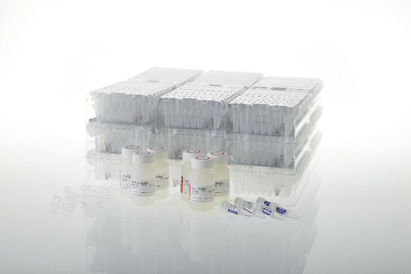 Maxwell RSC Blood DNA Kit Nerliens Meszansky AS